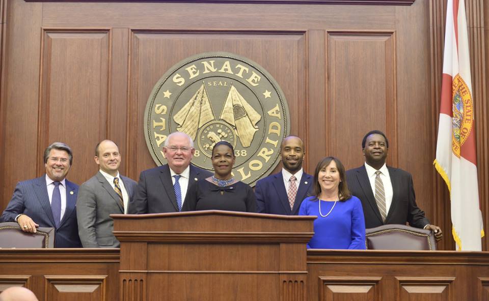 Audrey Gibson Elected to Florida Senate Leadership Position - Terrell ...
