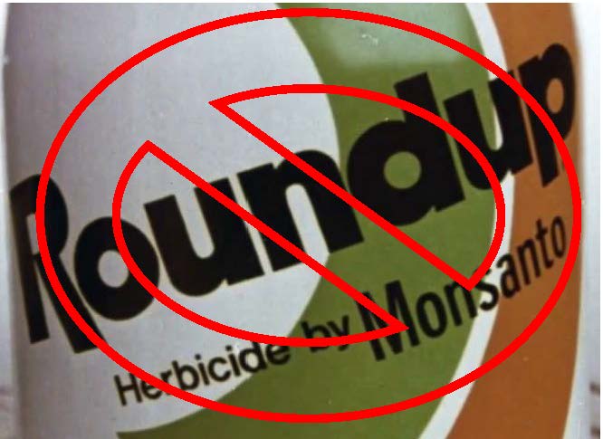 Roundup Claims: Know the Signs of non-Hodgkin’s Lymphoma - Terrell ...